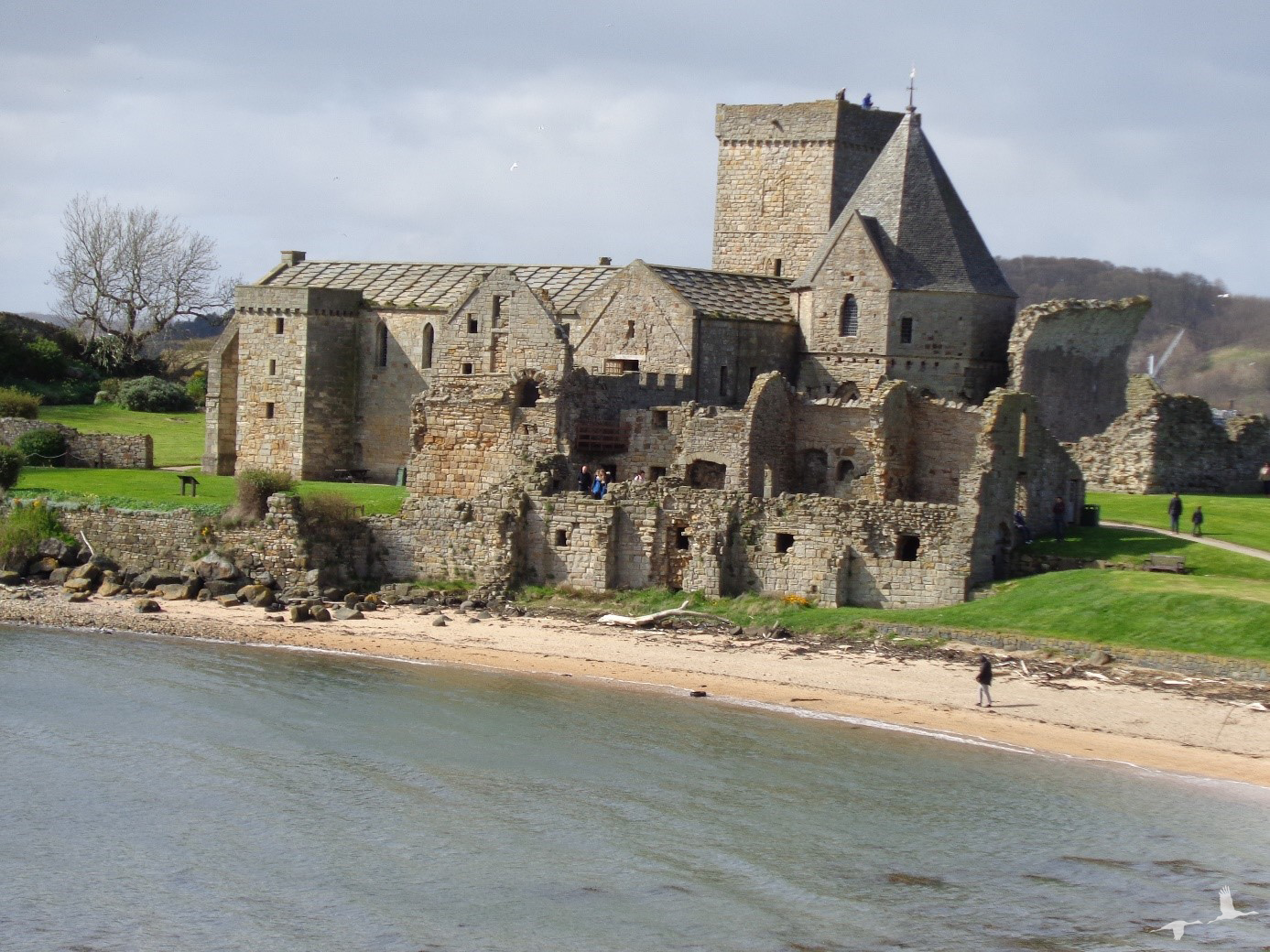 The Firth of Forth - Daytrip from Edinburgh - themigratorybirds.com
