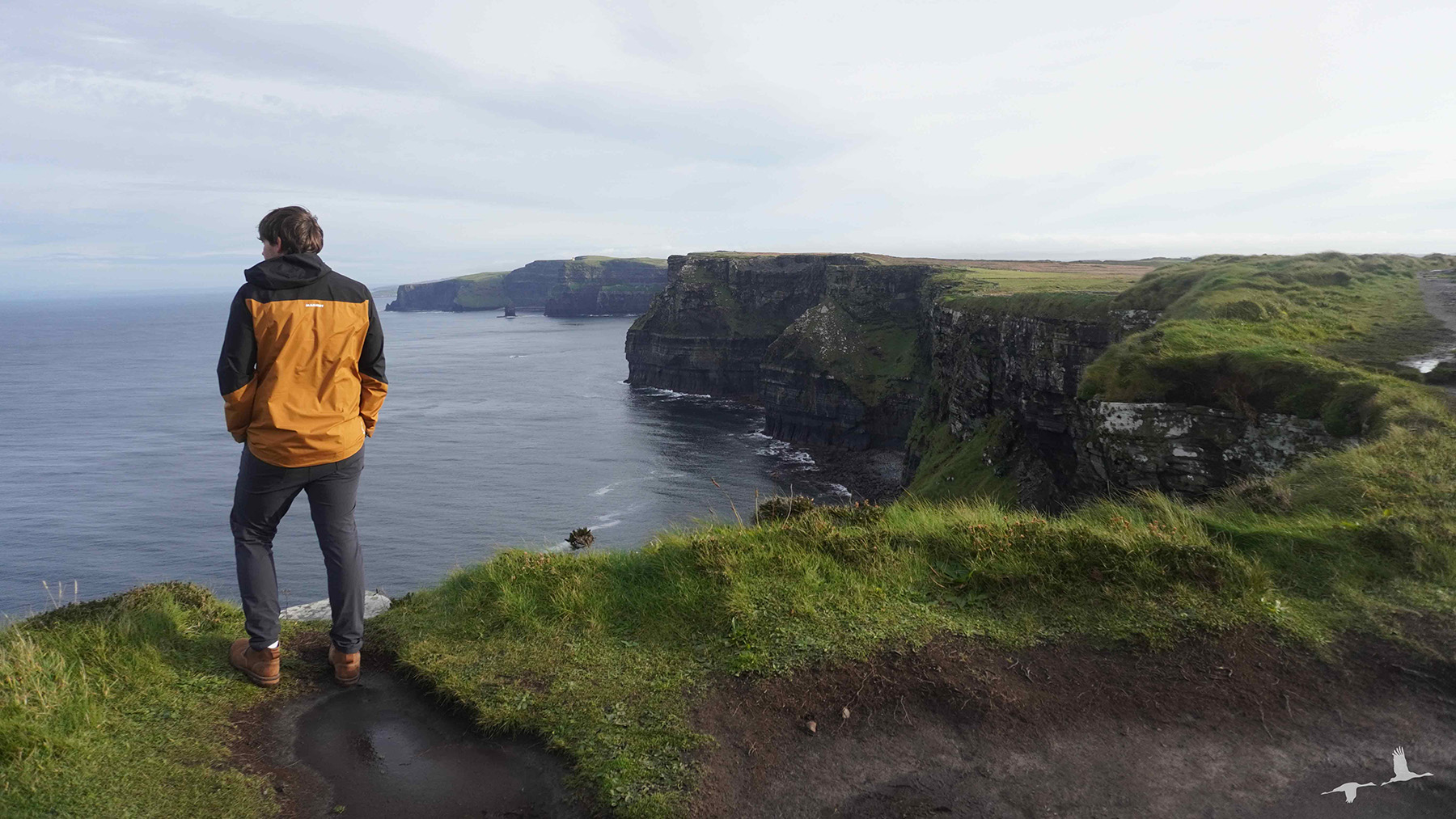 Our Ultimate Ireland Roadtrip Itinerary - themigratorybirds.com