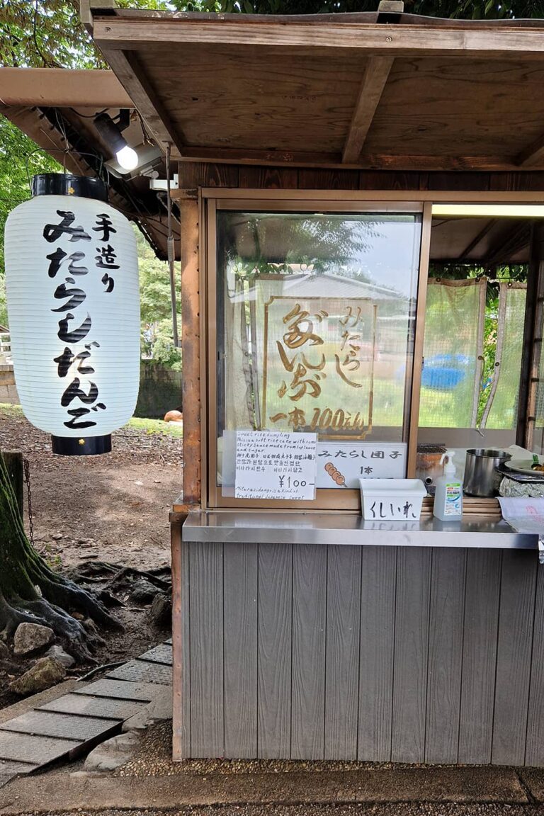 Perfect 1-Day Nara Deer Park Itinerary from Osaka | Nara Day Trip ...