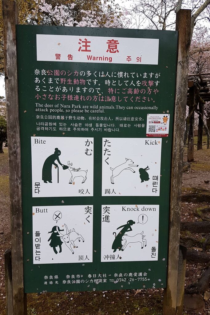 Perfect 1-Day Nara Deer Park Itinerary from Osaka | Nara Day Trip ...