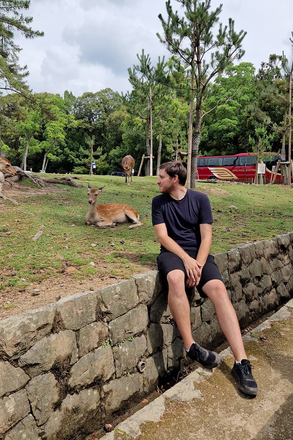 Perfect 1-Day Nara Deer Park Itinerary from Osaka | Nara Day Trip ...