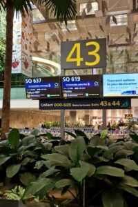 Complete Singapore Travel Checklist - themigratorybirds.com