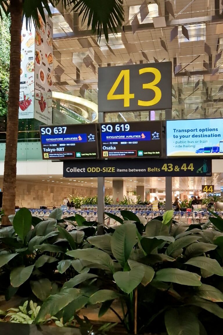 Complete Singapore Travel Checklist - themigratorybirds.com